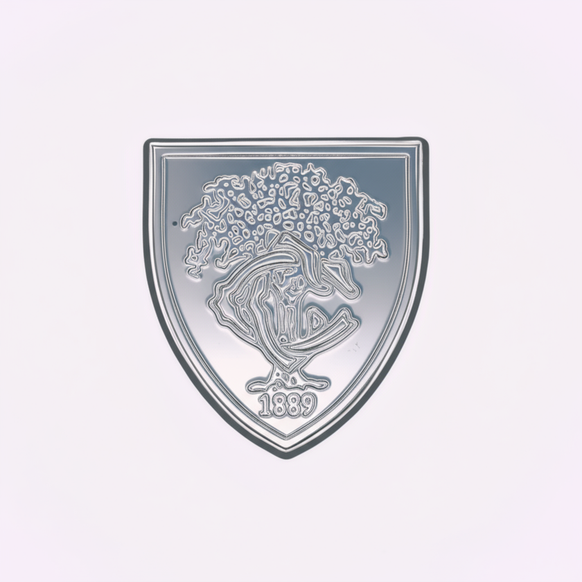 Chrome Flex Patches | Buy Chrome Flex Patches In Bulk